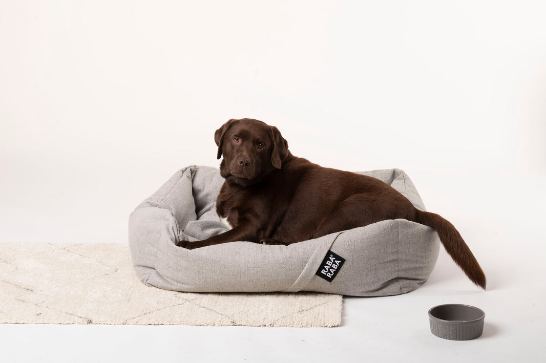 Welches ist das beste orthopädische Hundebett? Ein Leitfaden für den u ...